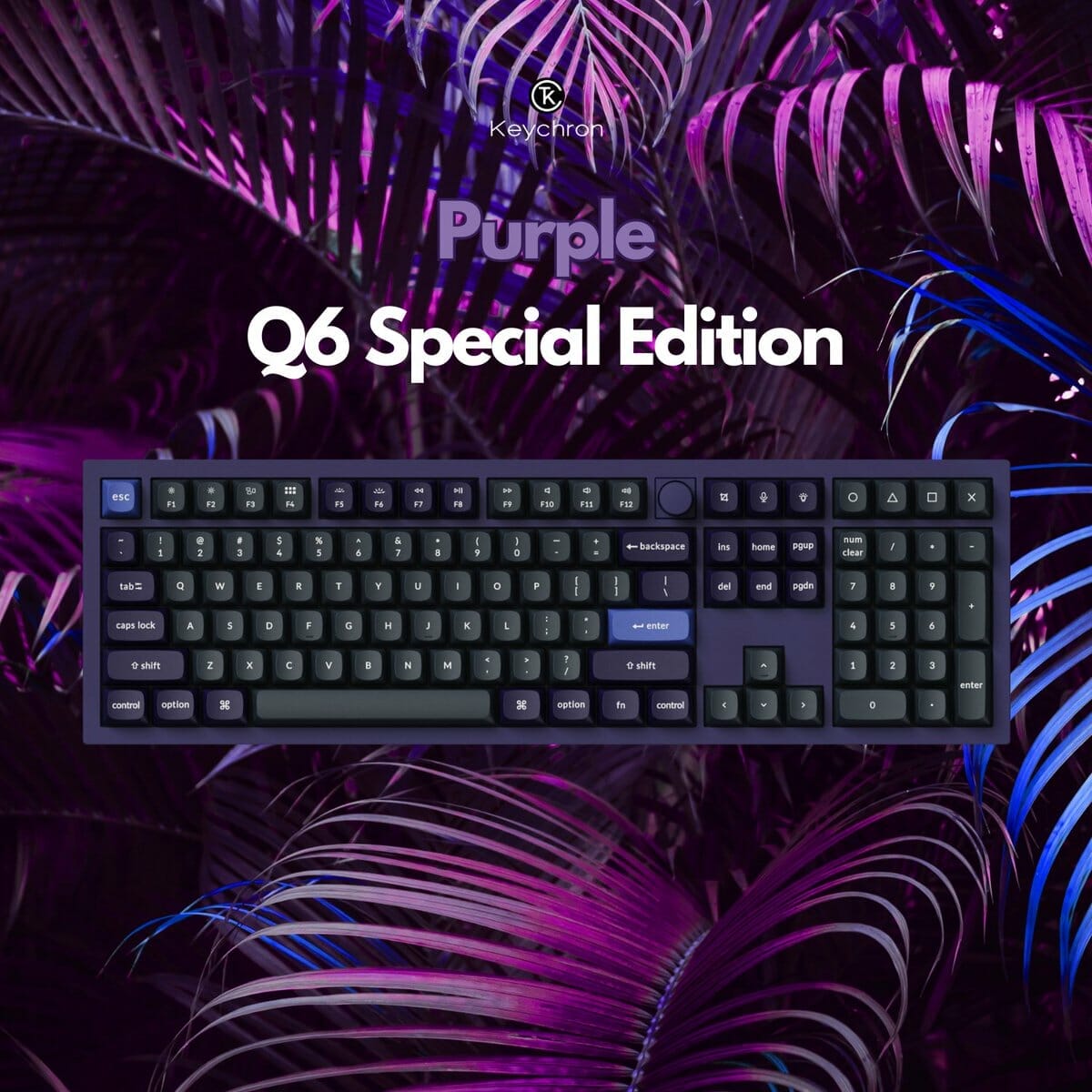 Keychron Q6 now available in limited edition "Purple" color