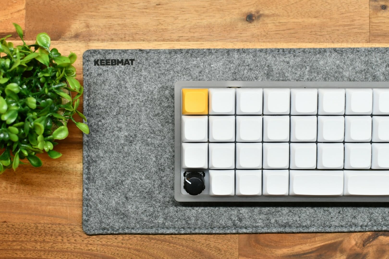 DROP + OLKB PLANCK MECHANICAL KEYBOARD KIT V7 - GreenKeys(グリーンキーズ)